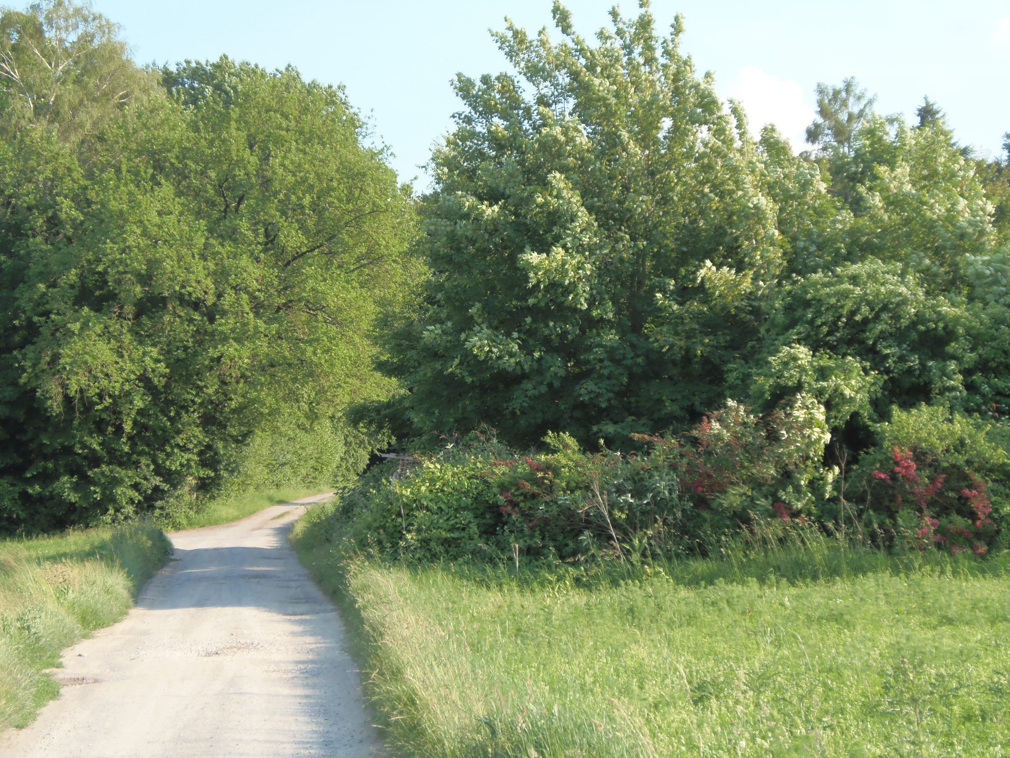 Wege erinnern mich immer an Lebenswege | Absurd-AG
